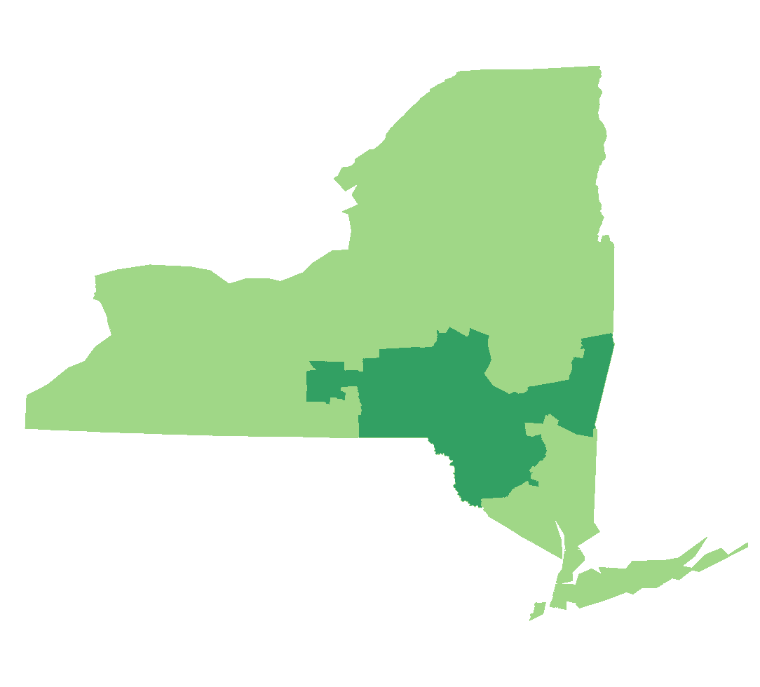 NY-19 | LCV Victory Fund